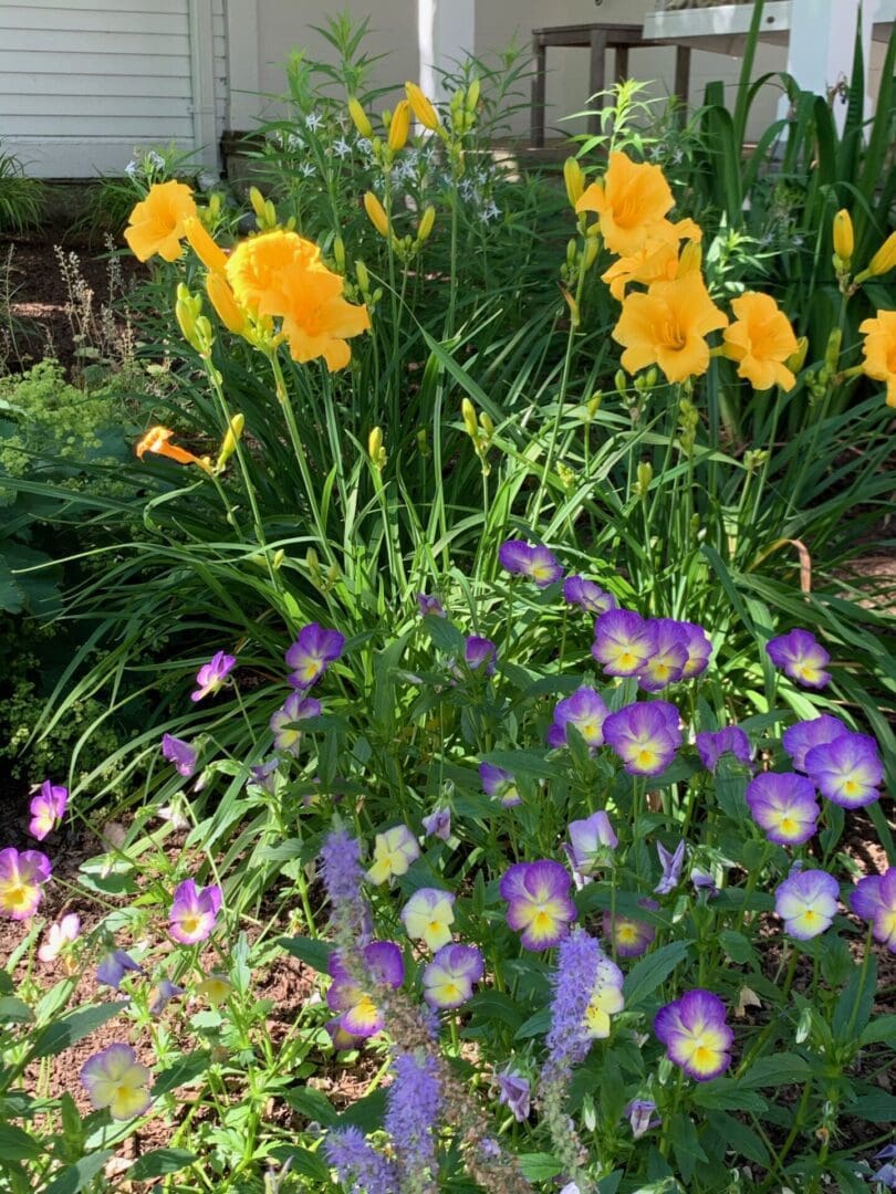 Original Garden Stories and Tips - Your Garden Story